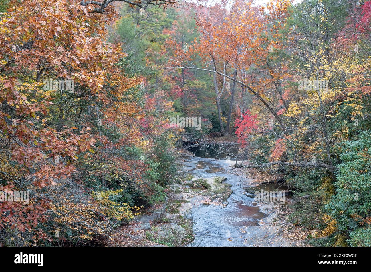 Wolf Creek in New River Gorge National Park, West Virginia Stock Photo ...