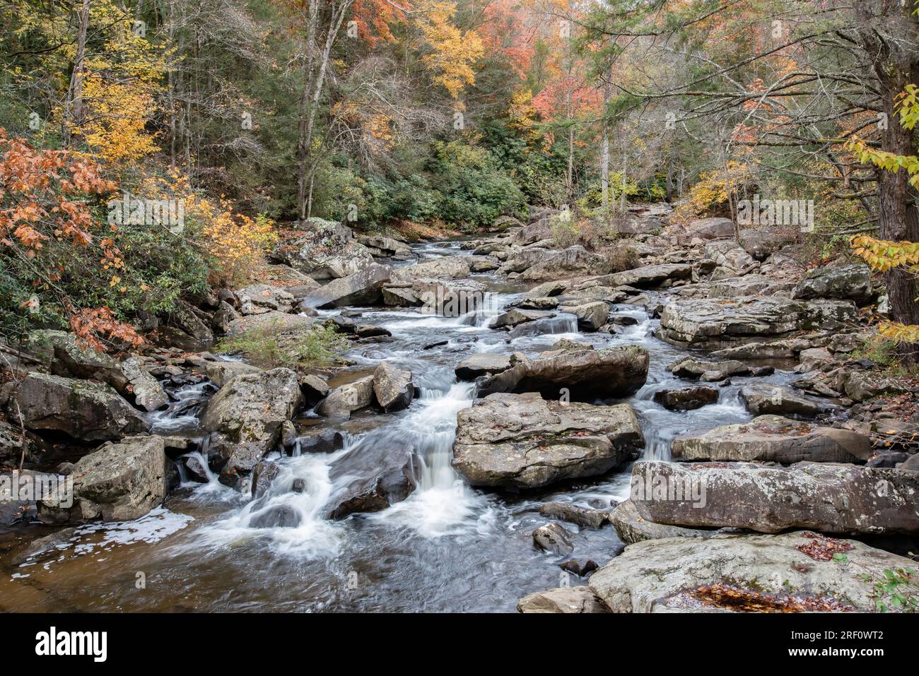 Glade Creek in Babcock State Park, West Virginia Stock Photo - Alamy
