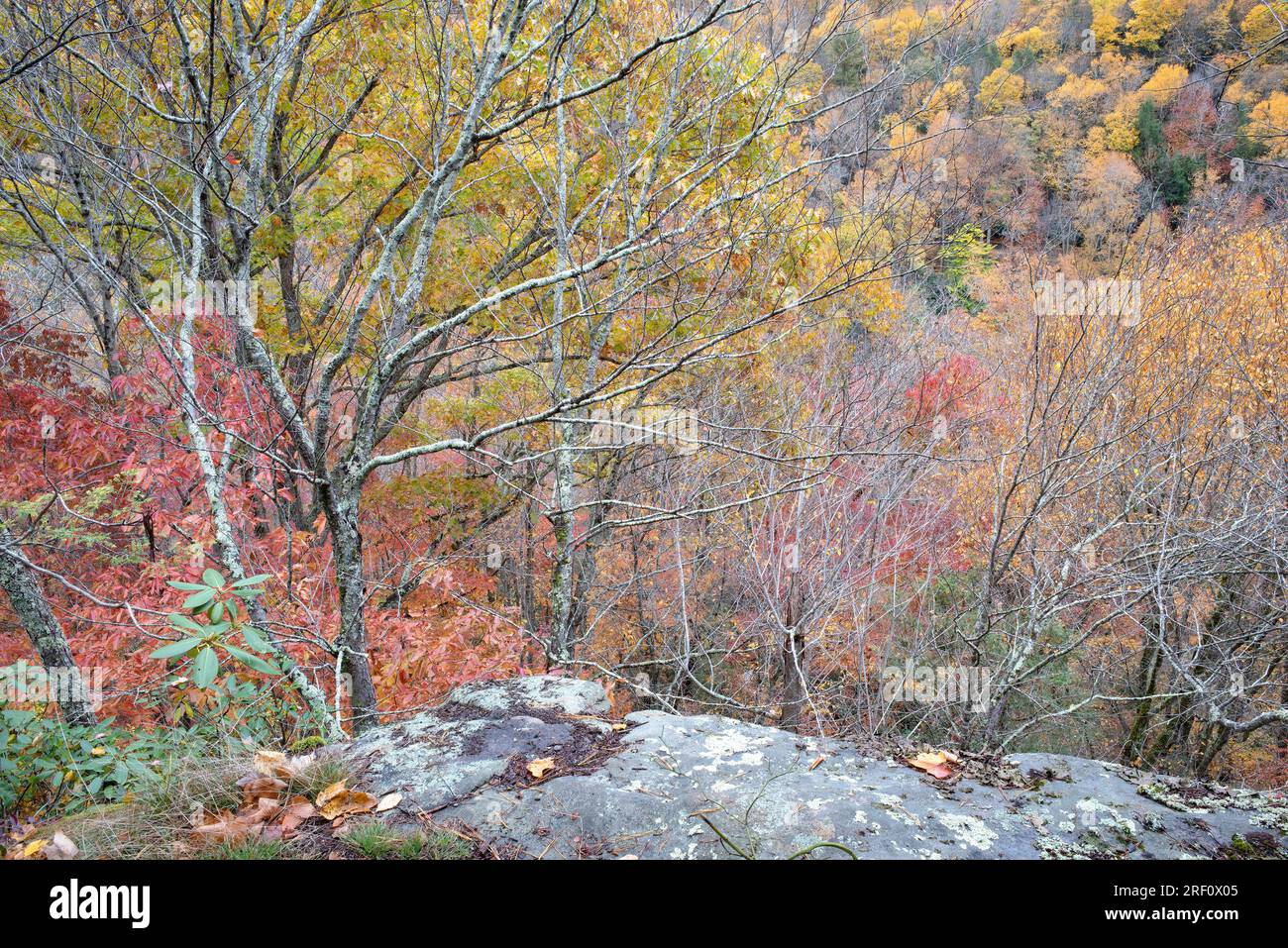 West virginia fall foliage hi-res stock photography and images - Alamy
