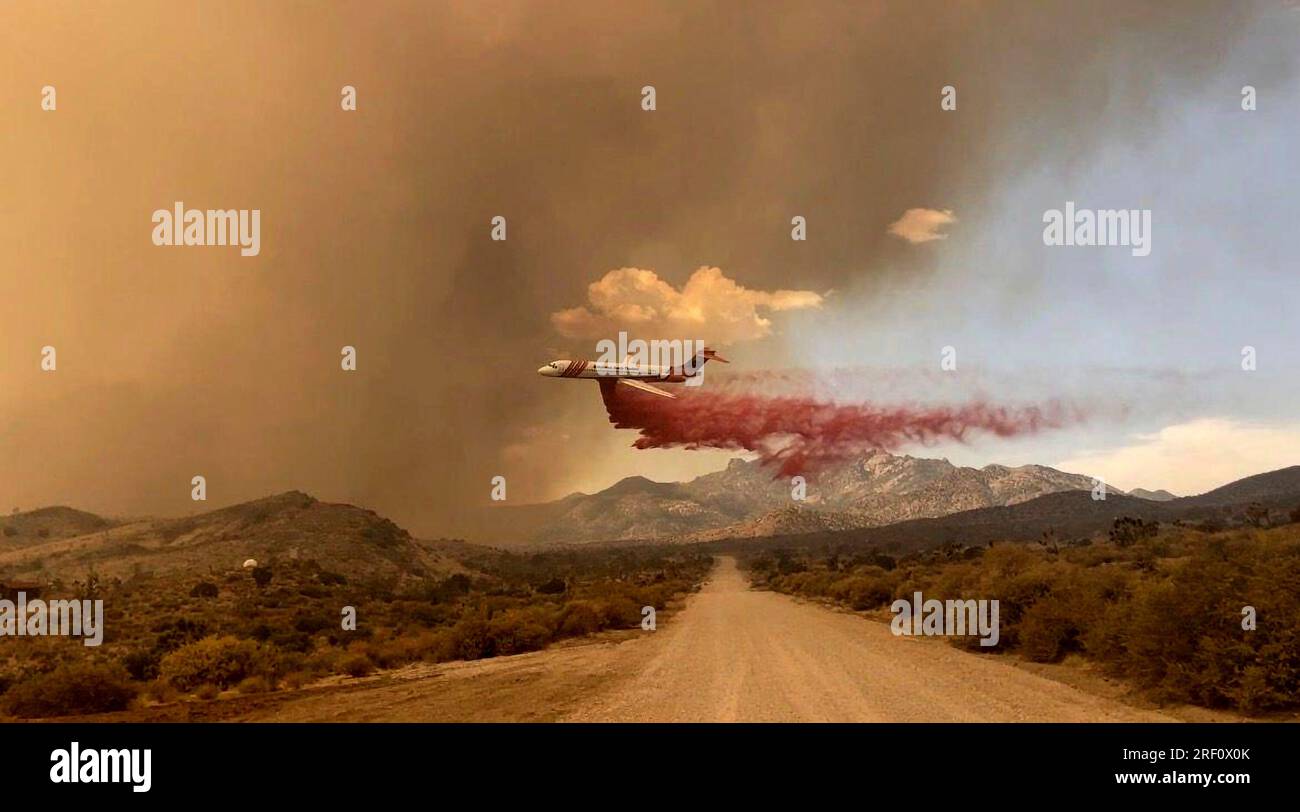 This photo provided by the National Park Service Mojave National ...