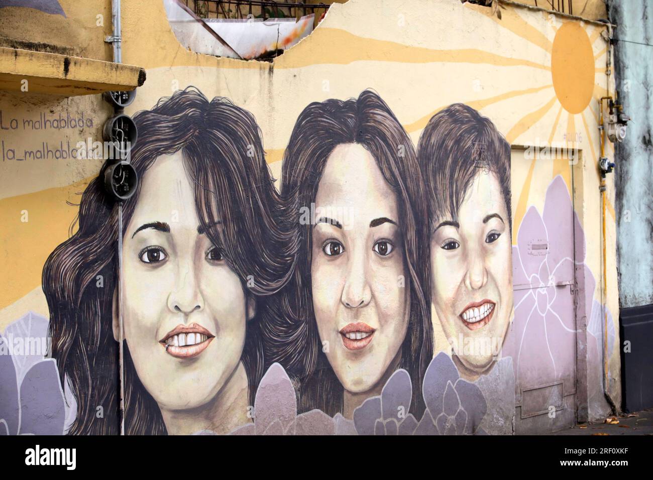 Mexico City, Mexico. 30th July, 2023. A mural in memory of Nadia Vera ...