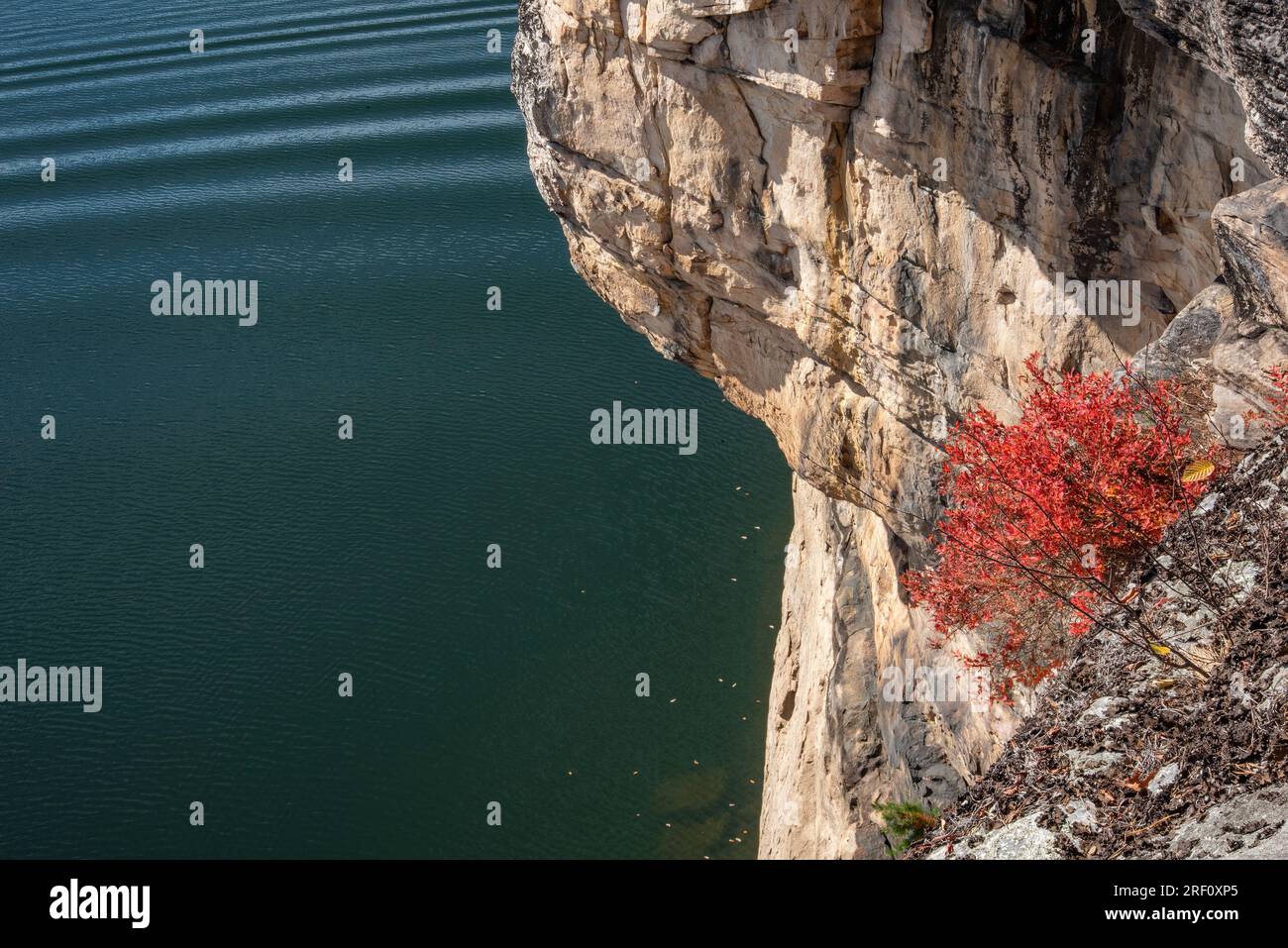 Cliff, foliage and lake on the Long Point Trail, Summersville Wildlife ...
