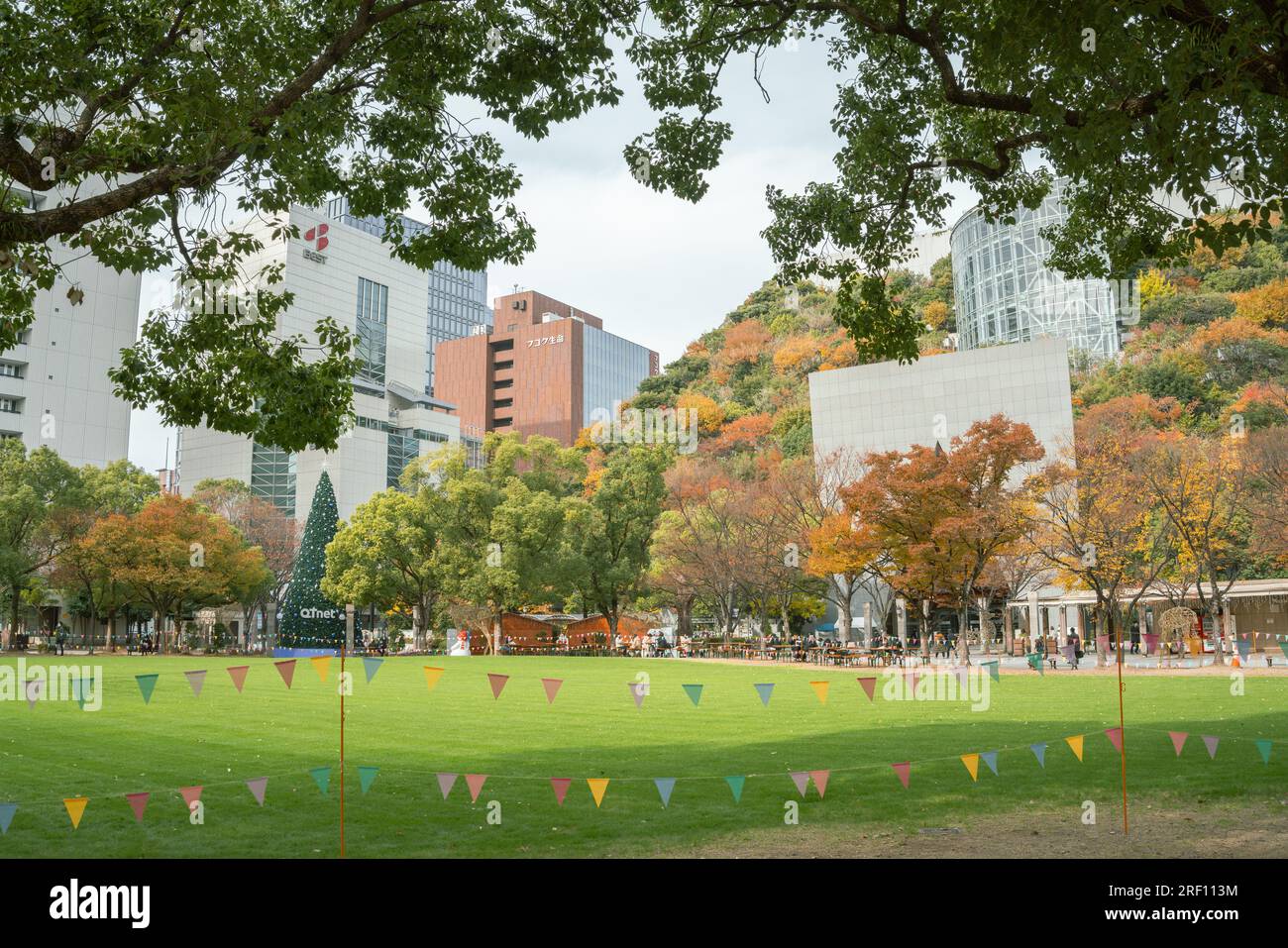 Fukuoka, Japan - December 8, 2022 : Autumn of Tenjin Central Park Stock ...
