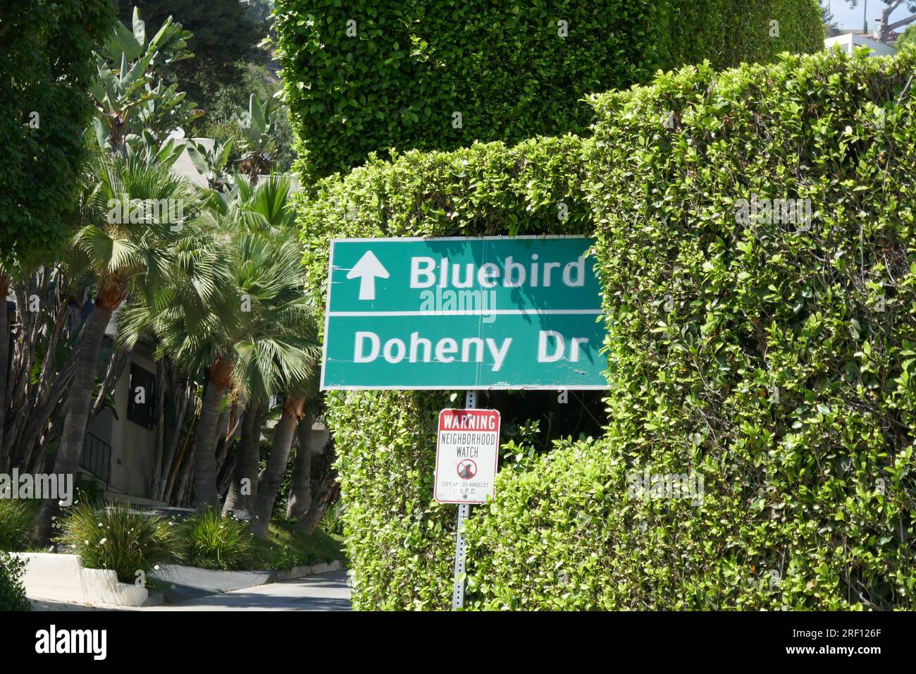 Los Angeles, California, USA 30th July 2023 Bluebird Avenue and Doheny Drive on July 30, 2023 in ...