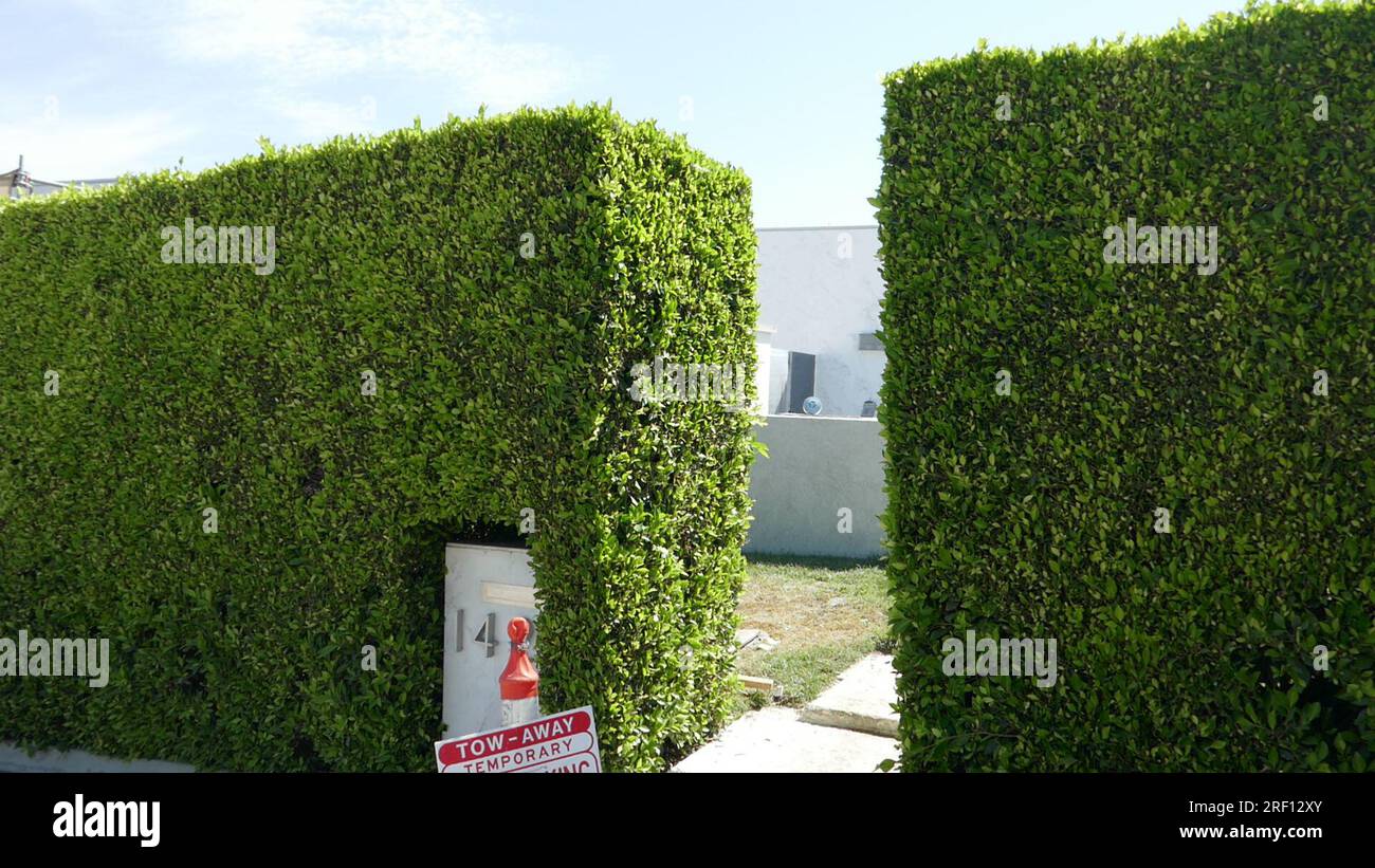 Los Angeles, California, USA 30th July 2023 Cameron Winklevoss and ...