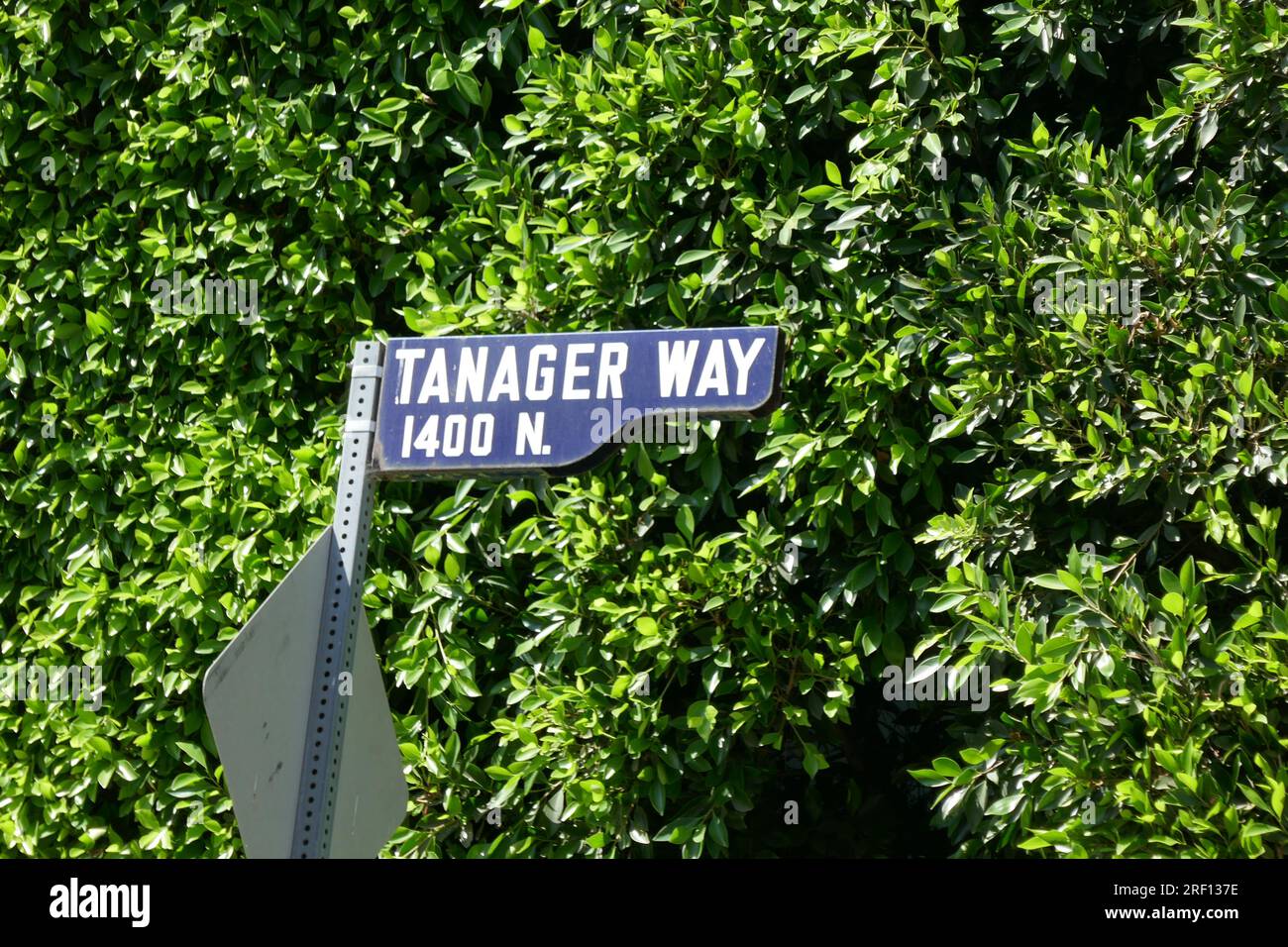 Los Angeles, California, USA 30th July 2023 Tanager Way on July 30 ...