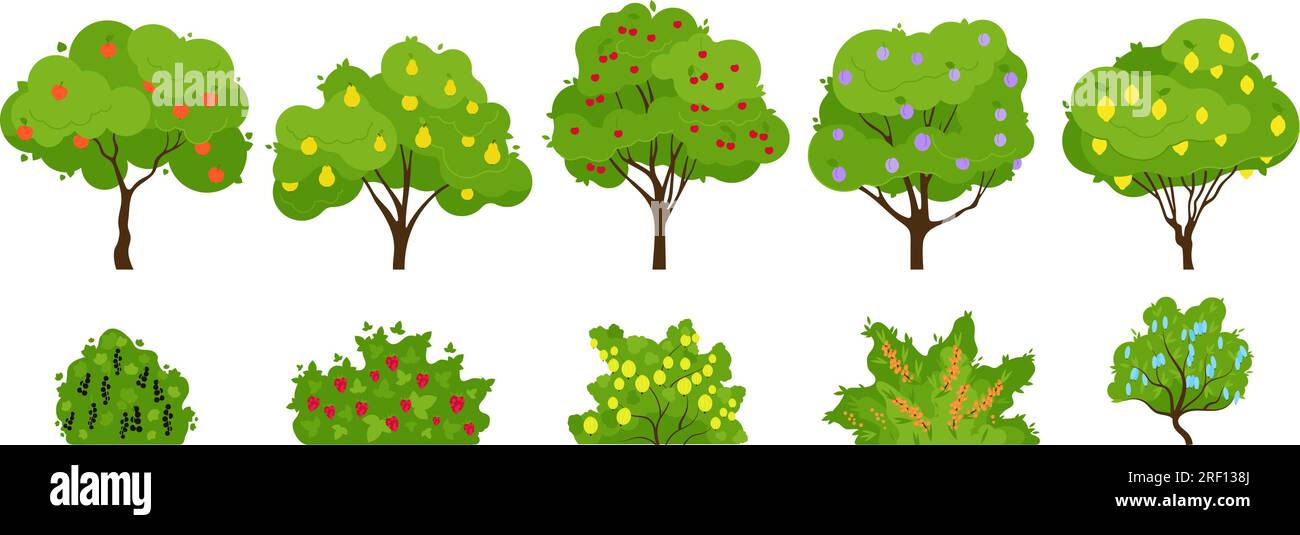 Fruit tree growing, trees with fruits and bush berries. Organic garden ...
