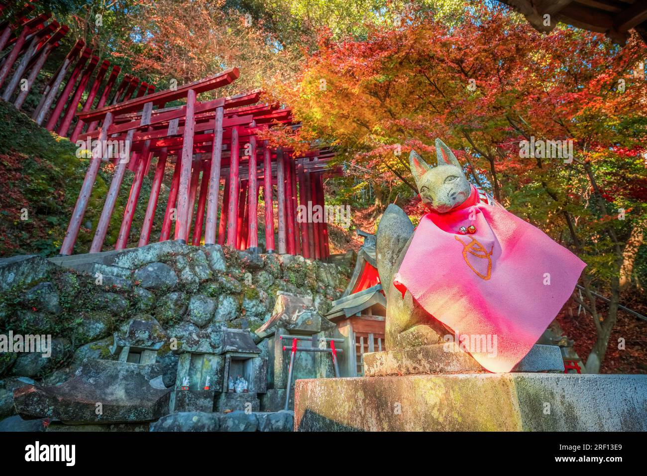 Saga, Japan - Nov 28 2022: Yutoku Inari shrine in Kashima City, Saga ...