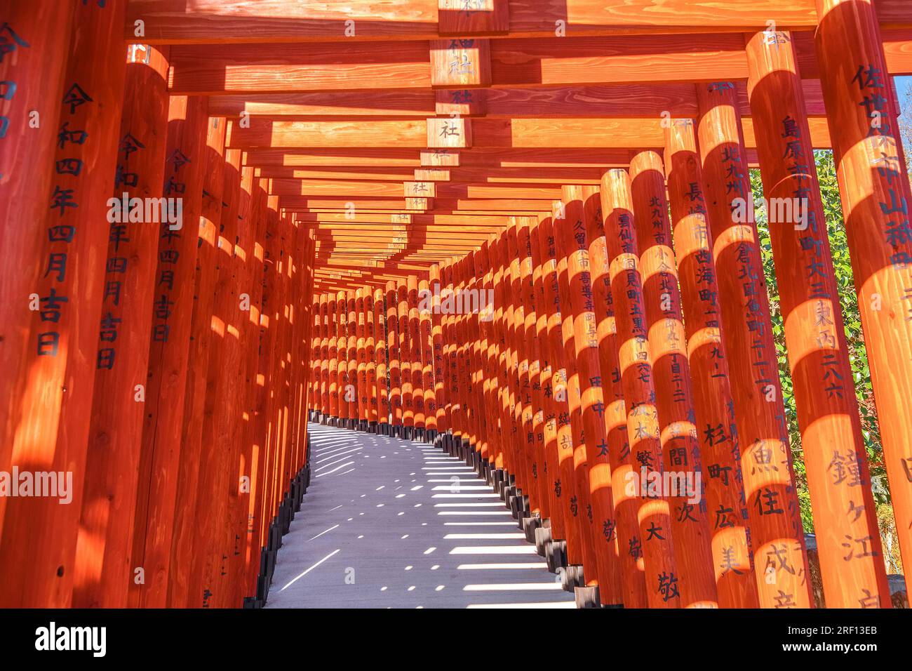 Saga, Japan - Nov 28 2022: Yutoku Inari shrine in Kashima City, Saga ...