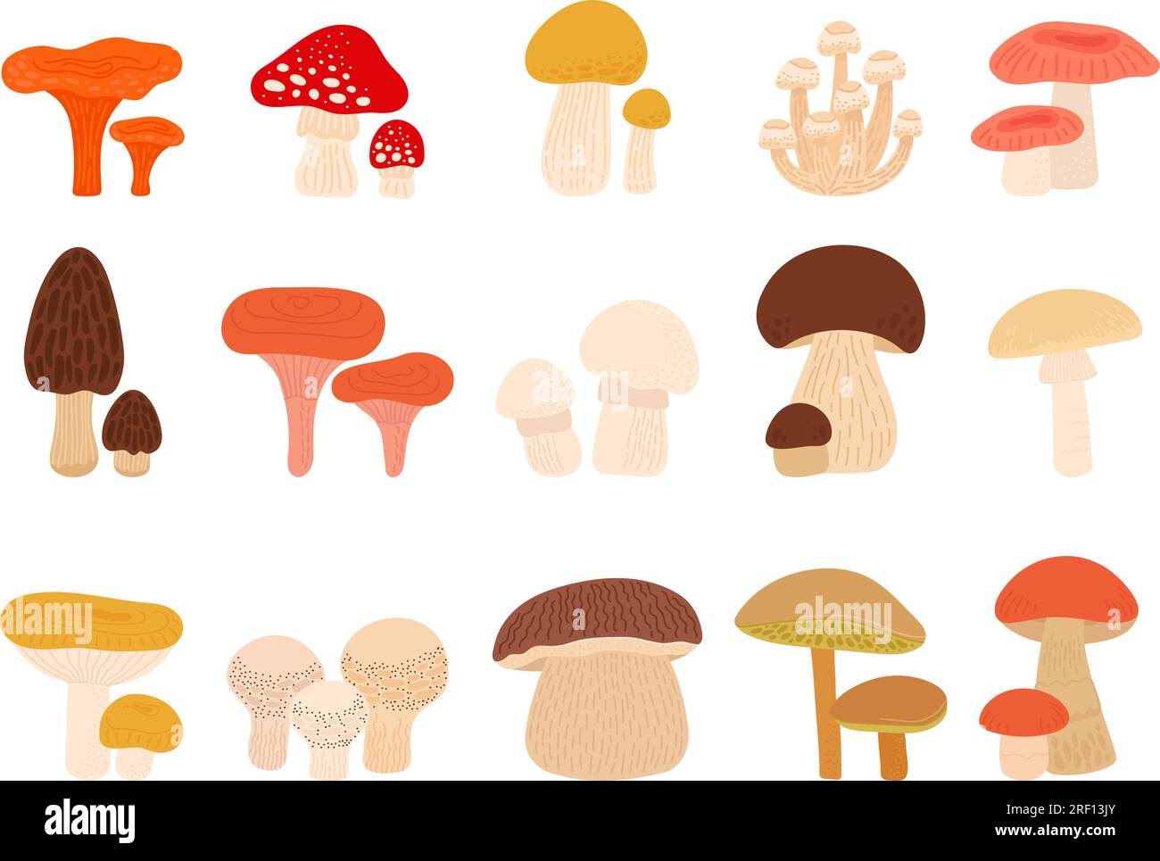 Isolated cartoon mushrooms, shiitake mushroom. Fungus and amanita ...