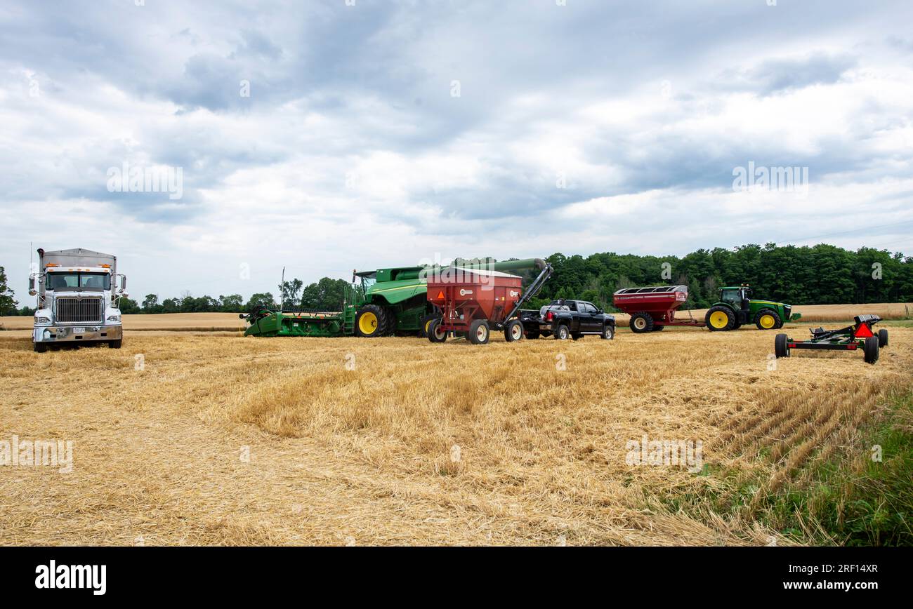 farmland, wheat harvesting Ontario Canada Stock Photo - Alamy