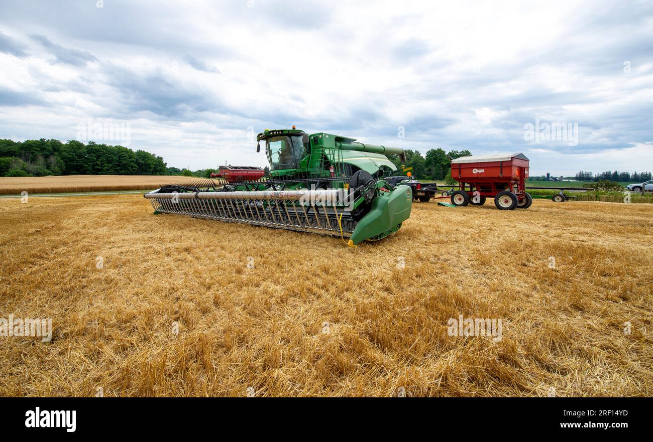 farmland, wheat harvesting Ontario Canada Stock Photo - Alamy