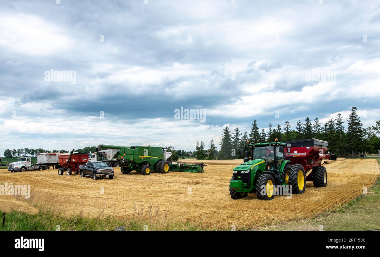 farmland, wheat harvesting Ontario Canada Stock Photo - Alamy