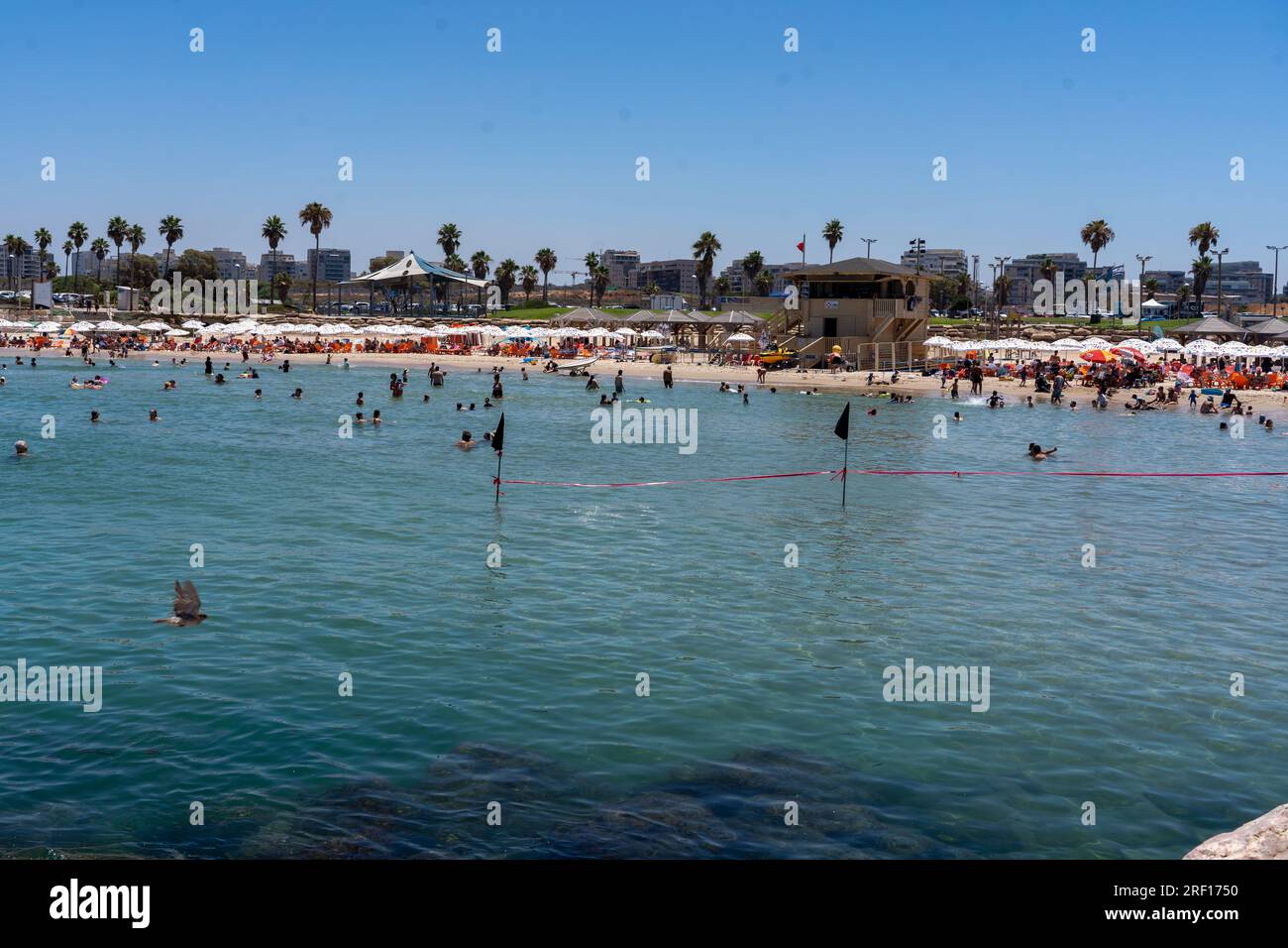 TEL AVIV, ISRAEL - JULY 21: People taking a dip in sea waters at Tel ...