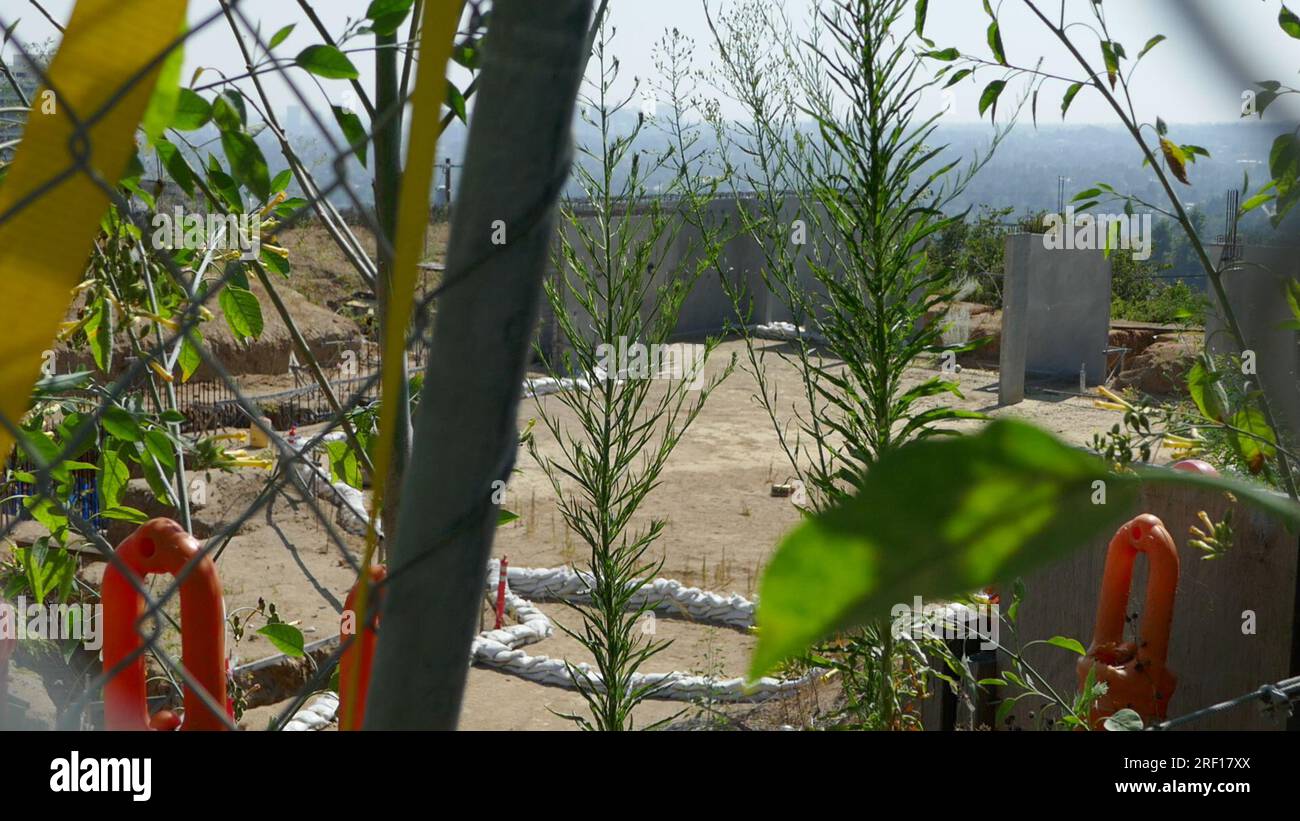 Los Angeles, California, USA 30th July 2023 Dr. Dre Home on July 30 ...