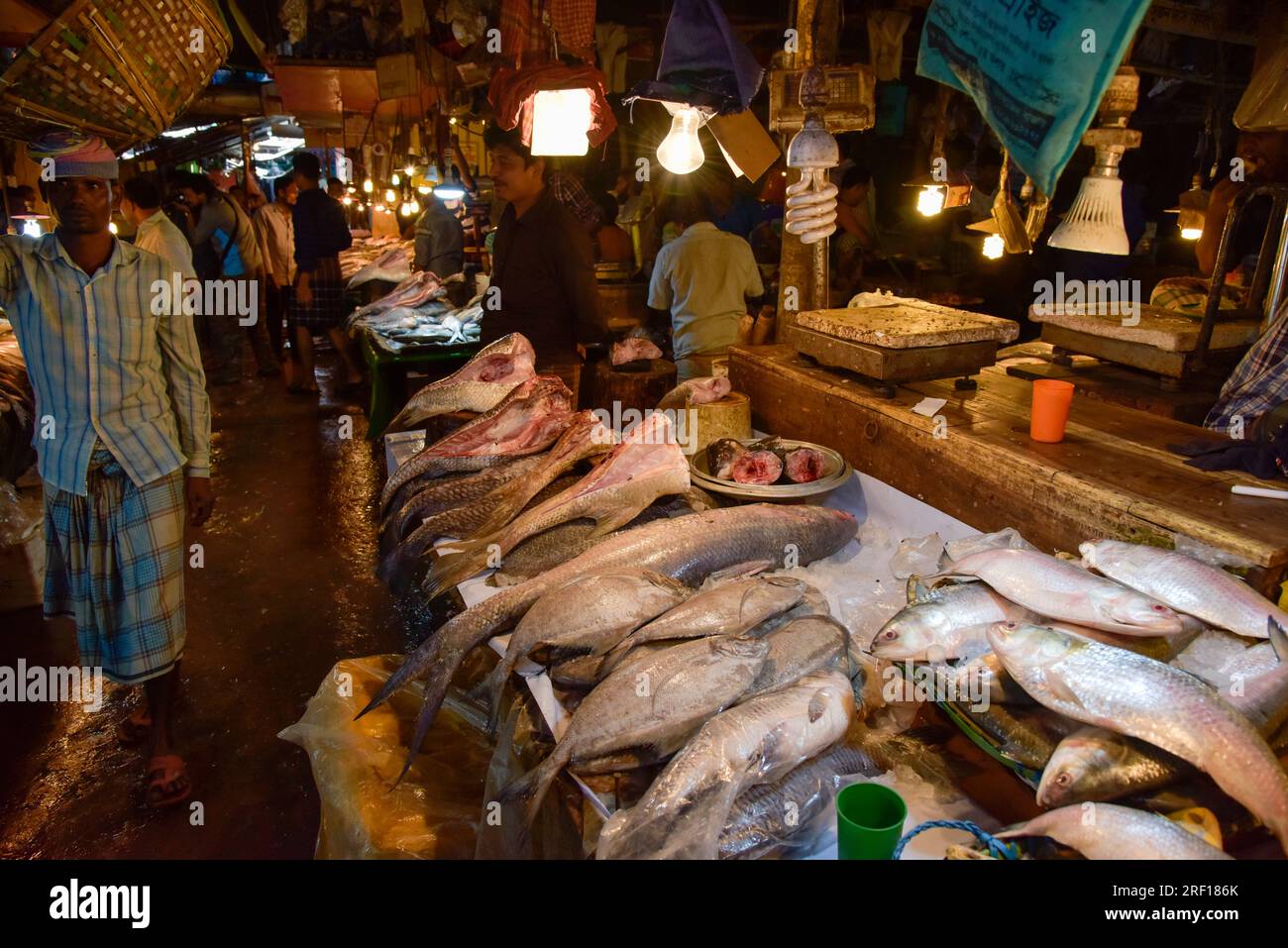 Kolkata fish market hi-res stock photography and images - Alamy
