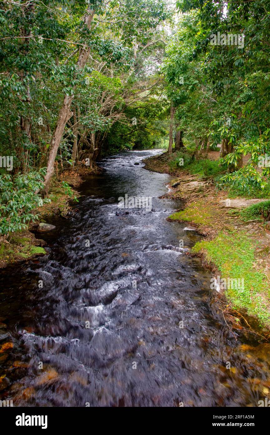 Little Mulgrave River, Peaceful Tree lined river scene, Mulgrave Valley ...