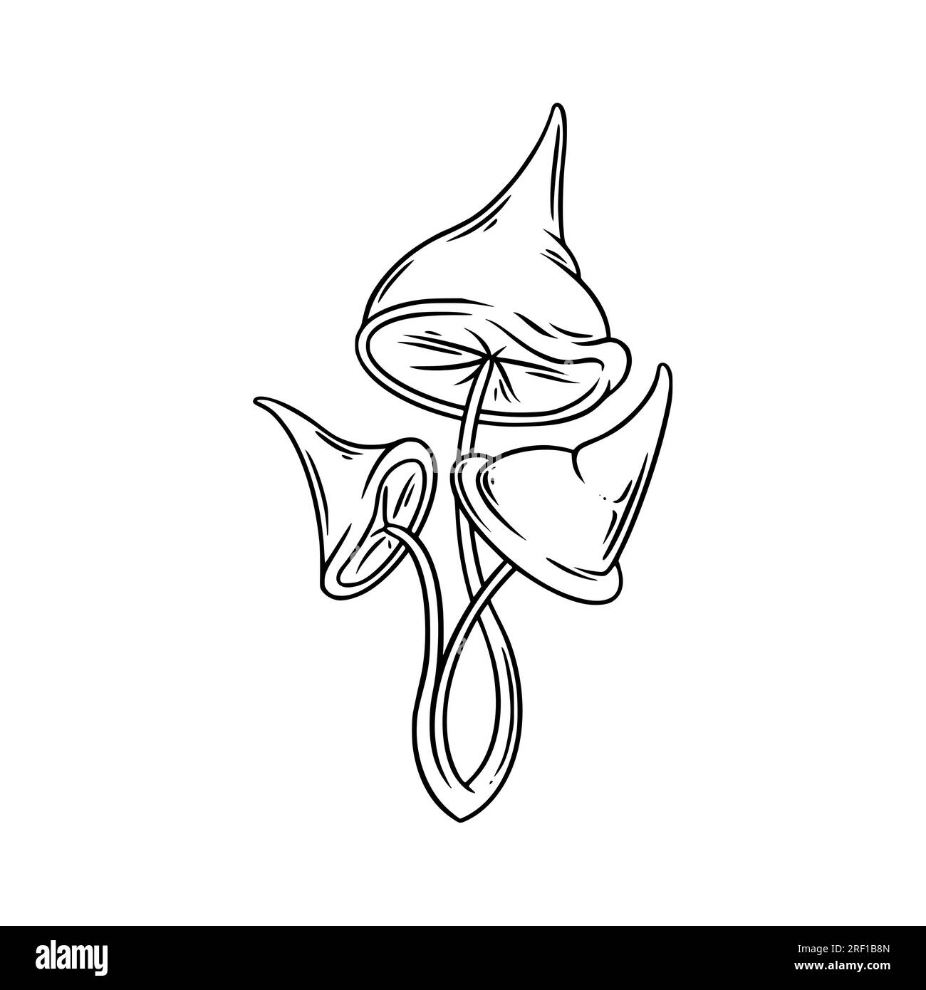 Poison mushrooms. Psychedelic mushrooms for wicca rituals. Outline ...