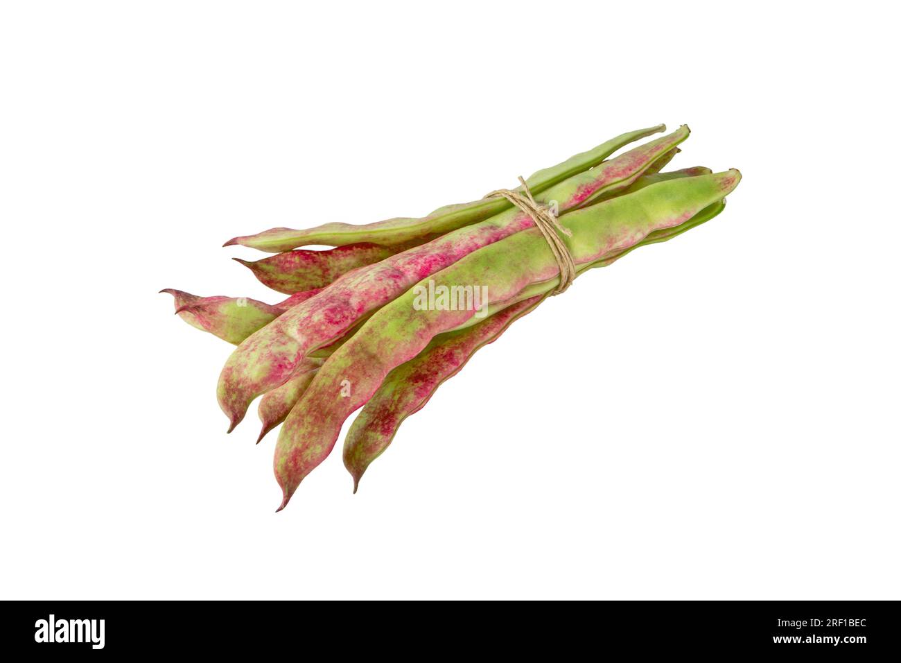 Common bean pods bunch tied with jute rope isolated on white. Phaseolus ...