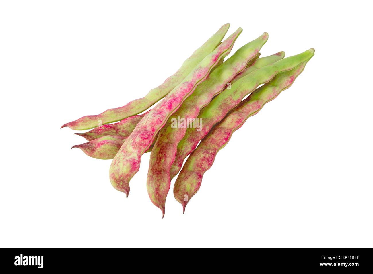 Common bean pods isolated on white. Phaseolus vulgaris green with pink ...