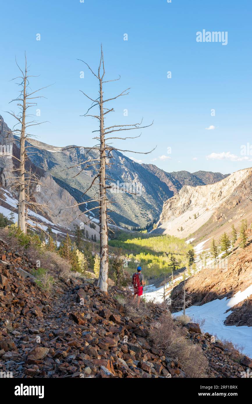 Hiking the rugged McGee Pass Trail at dusk Stock Photo - Alamy