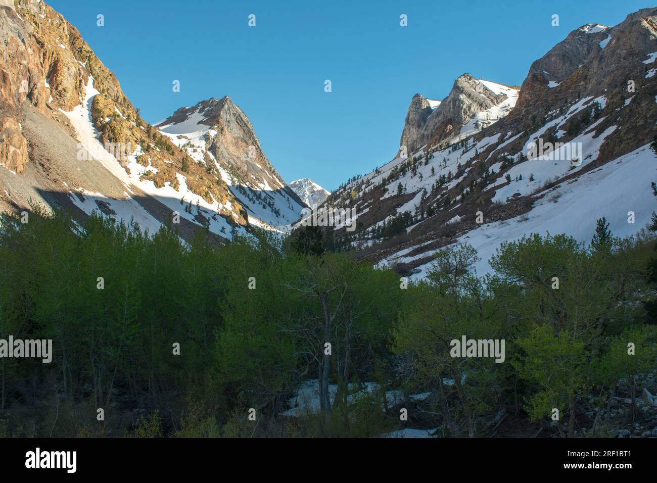 Alpine dawn over McGee Pass Trail, CA Stock Photo - Alamy