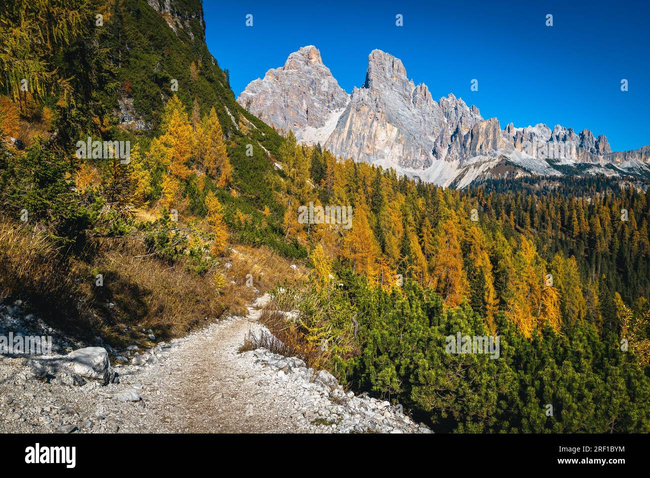 Beautiful autumn alpine scenery with colorful redwood forest and ...