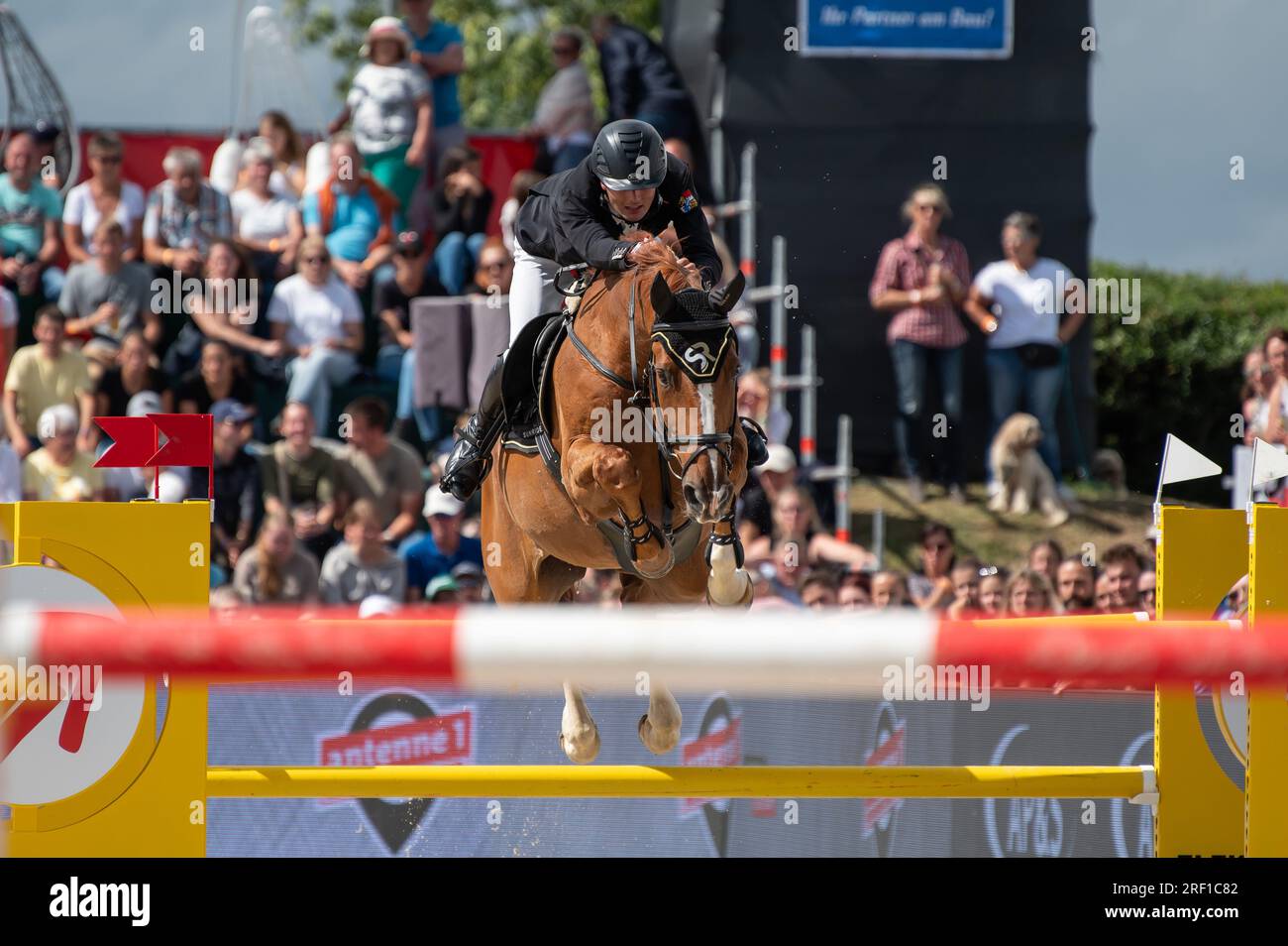 Feyler hi-res stock photography and images - Alamy