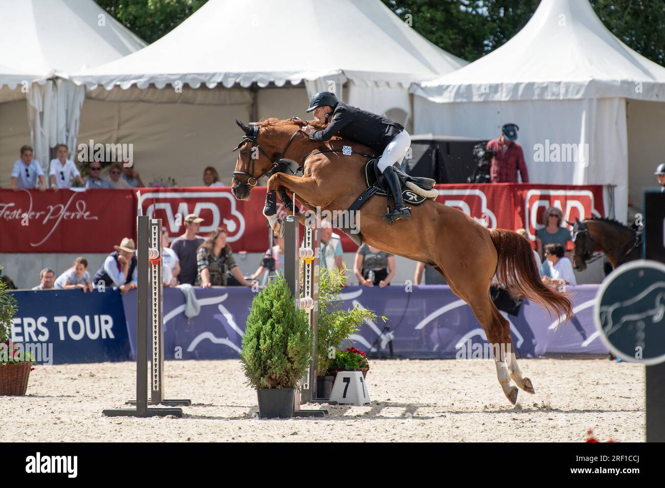 Feyler hi-res stock photography and images - Alamy