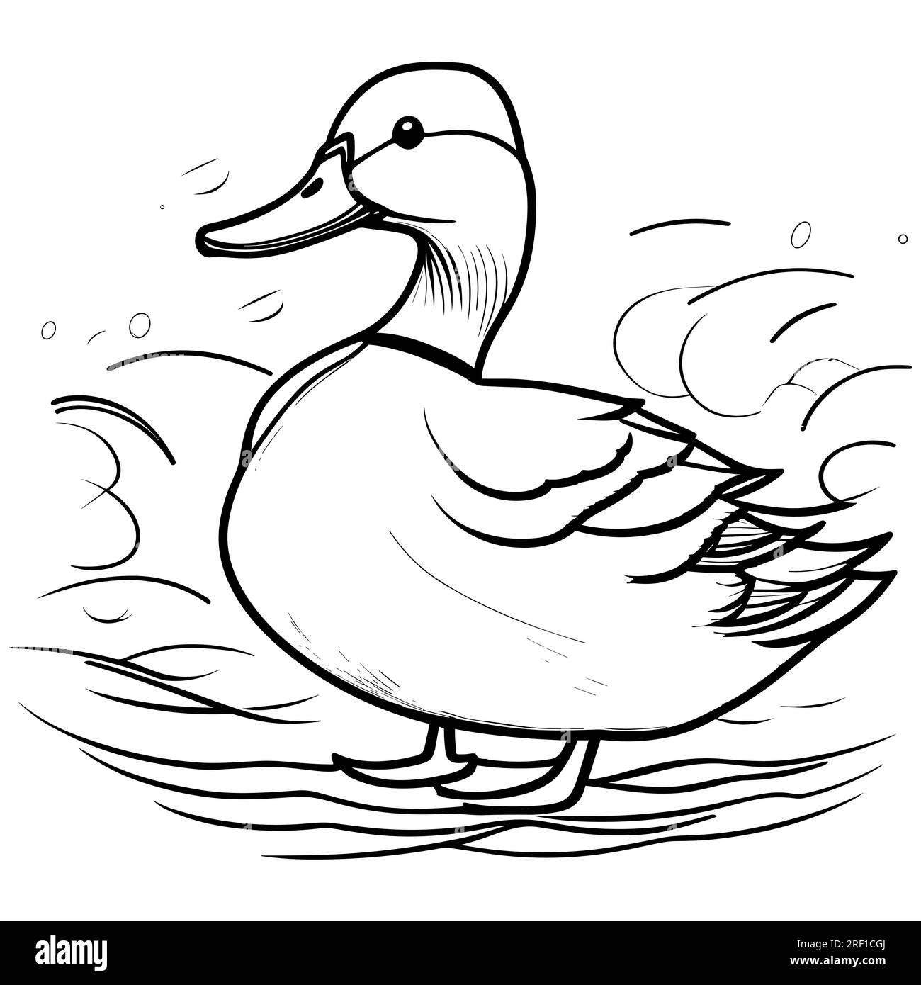 Illustration of a duck,hand drown Stock Vector Image & Art - Alamy Illustration of a duck,hand drown Stock Vector Image & Art - Alamy