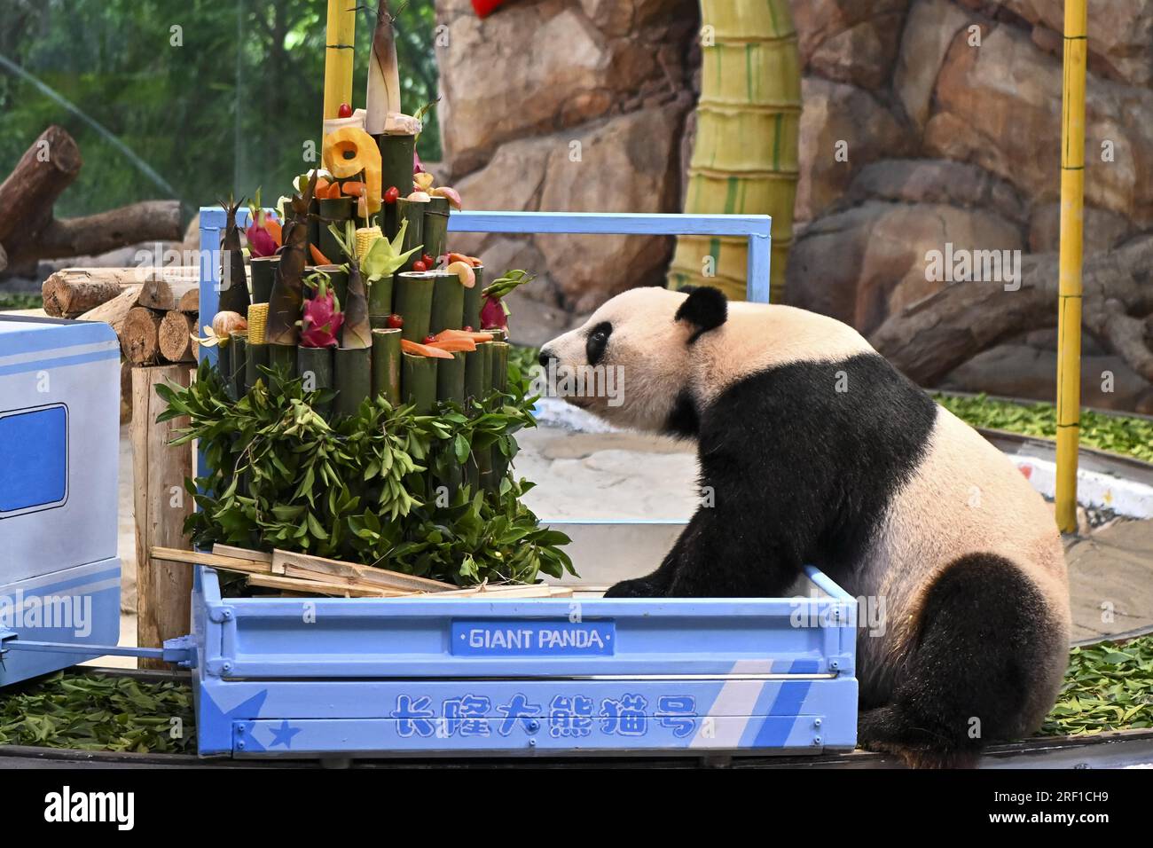 **CHINESE MAINLAND, HONG KONG, MACAU AND TAIWAN OUT** Giant panda ...