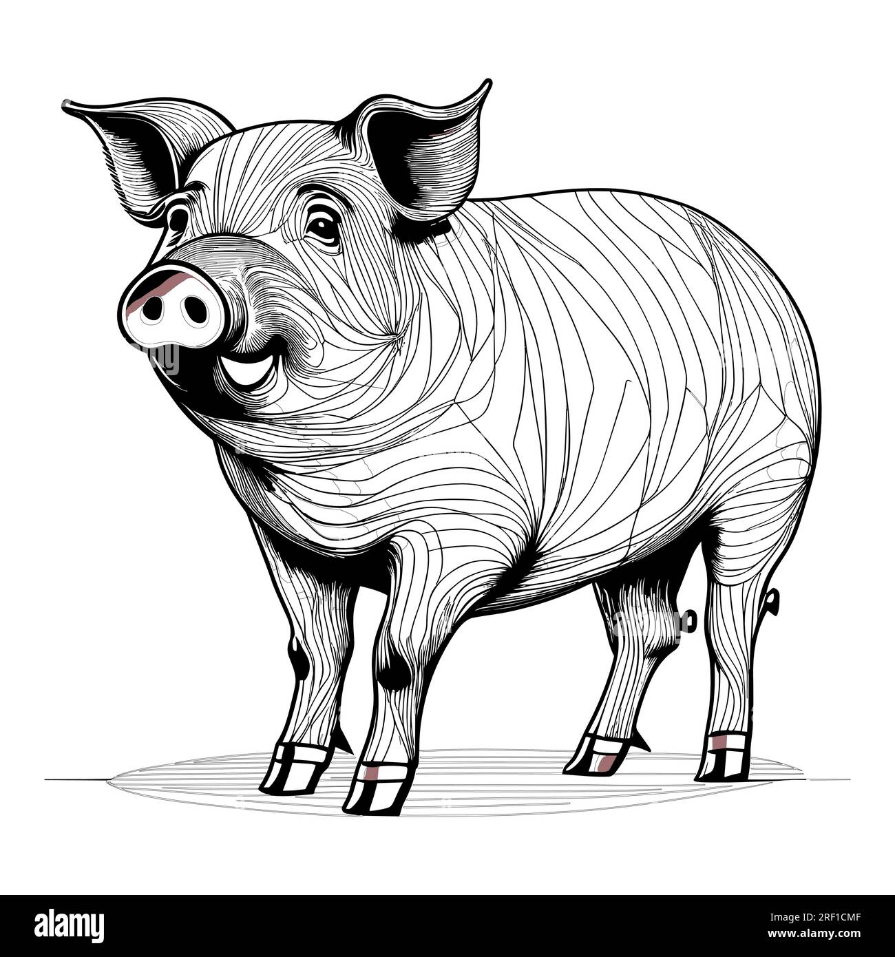 Free vector hand drawn pig outline illustration Stock Vector Image ...