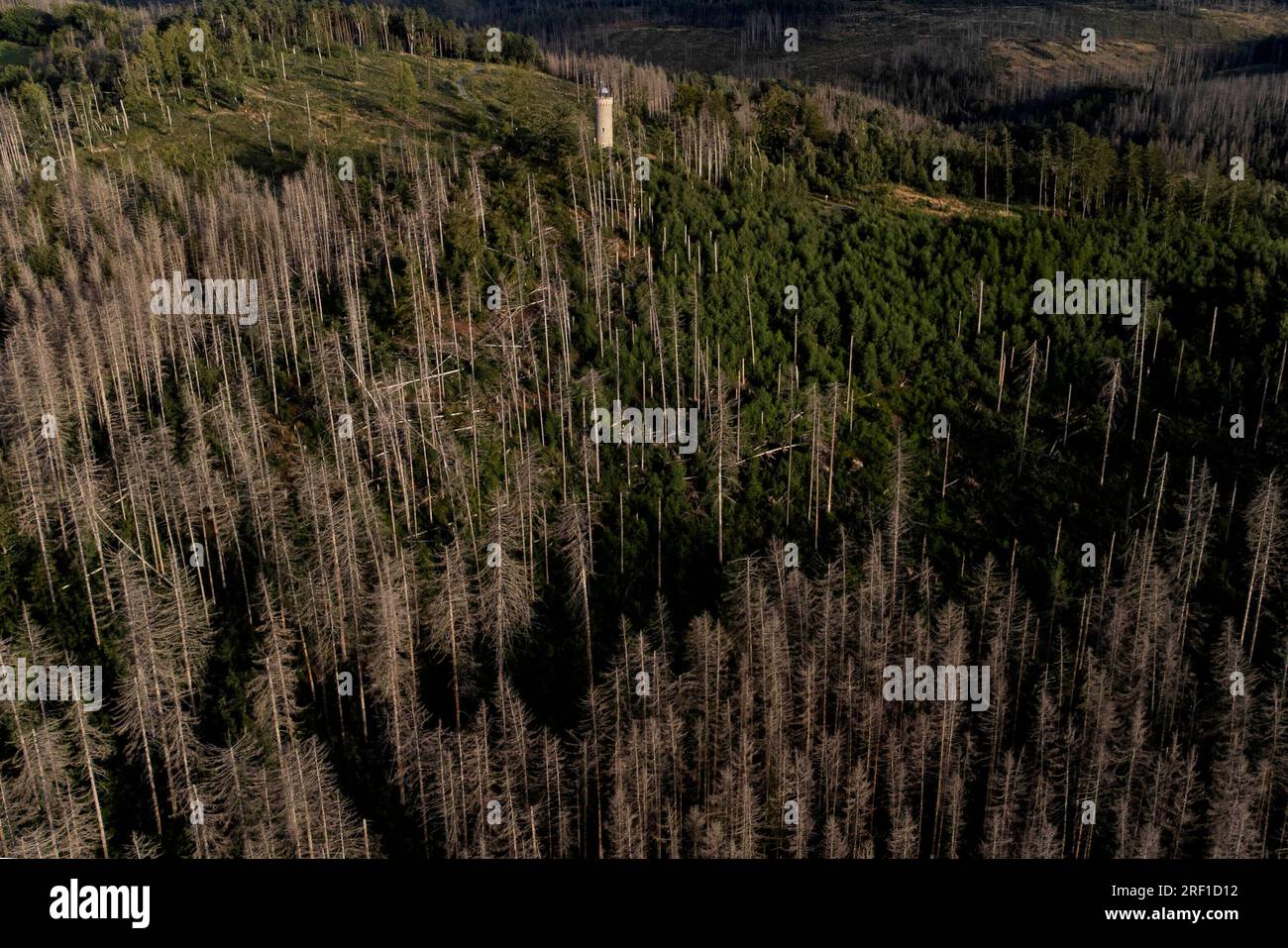 The "Kaiserturm' observation tower is surrounded by trees destroyed by ...