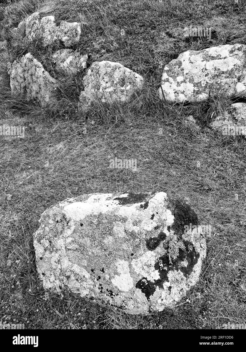 Black bants hi-res stock photography and images - Alamy