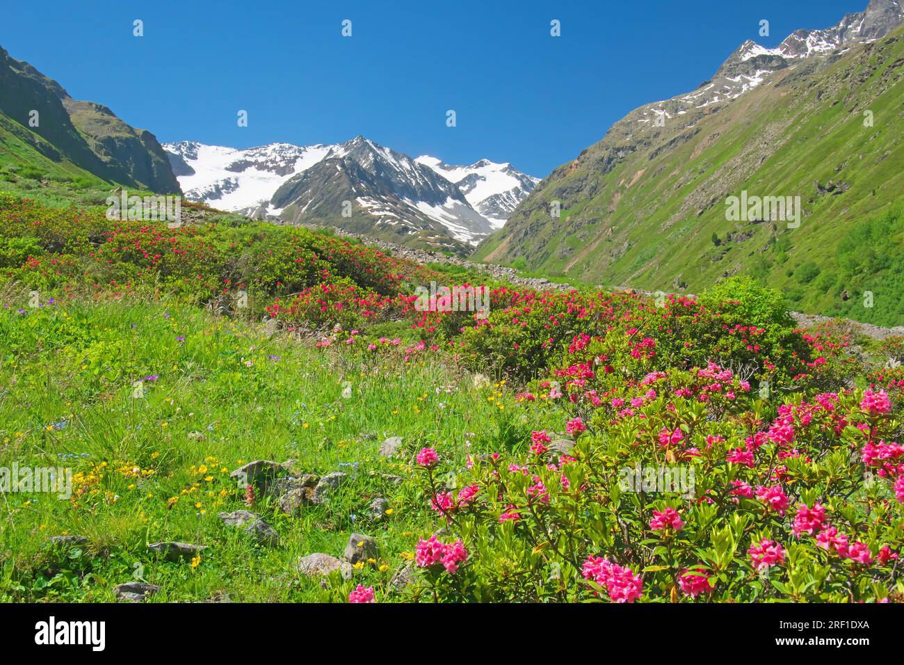Pitztal alpine valley hi-res stock photography and images - Alamy