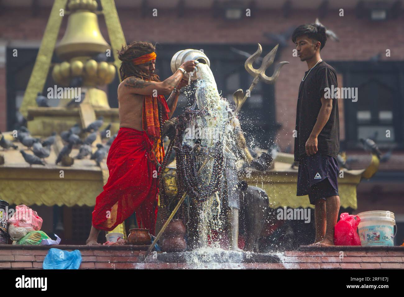 A Hindu priest pours milk as he offers prayers to Idol of Lord Shiva at ...