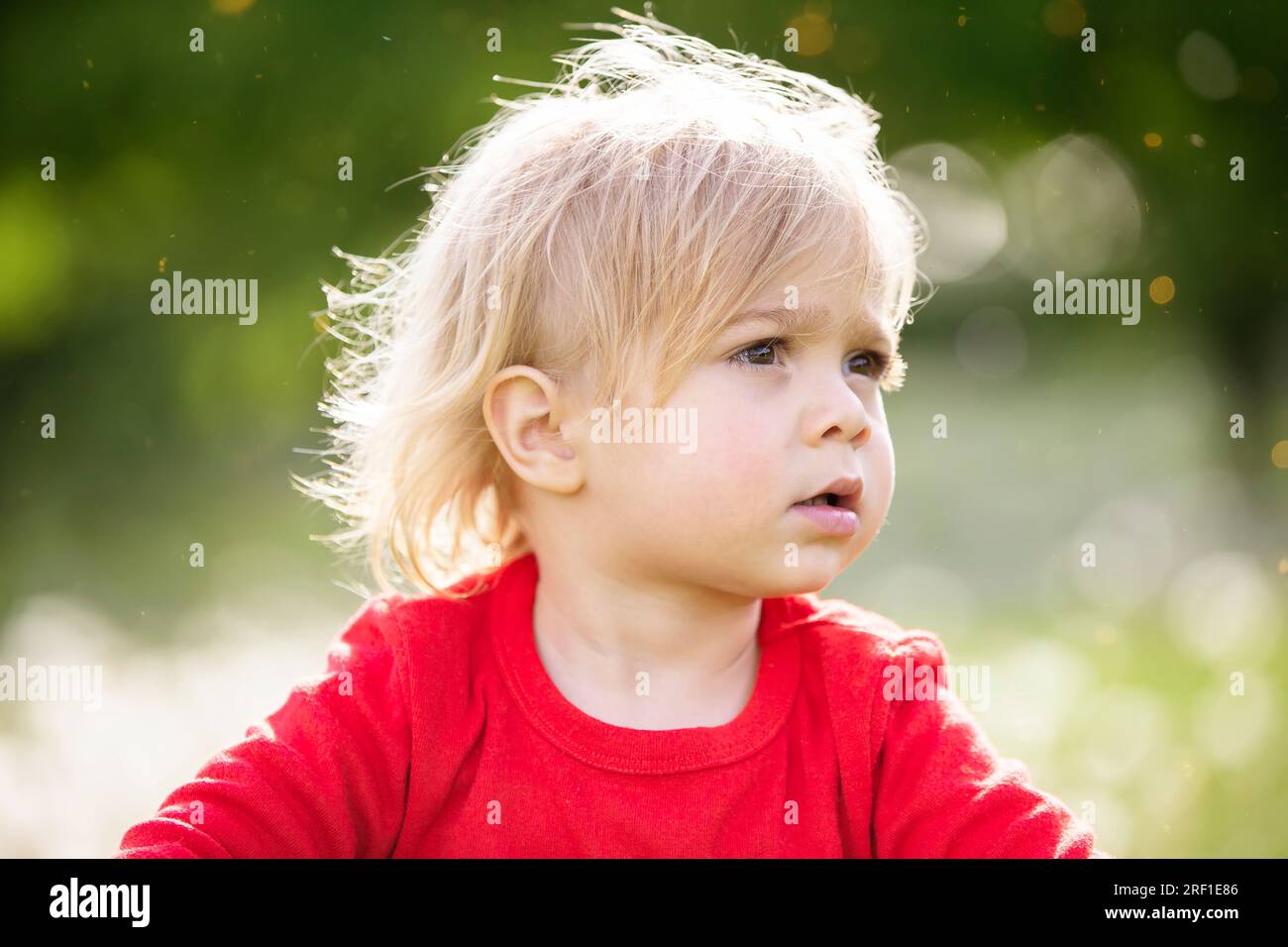 Beautiful blond child close-up on a background of summer greenery. A ...