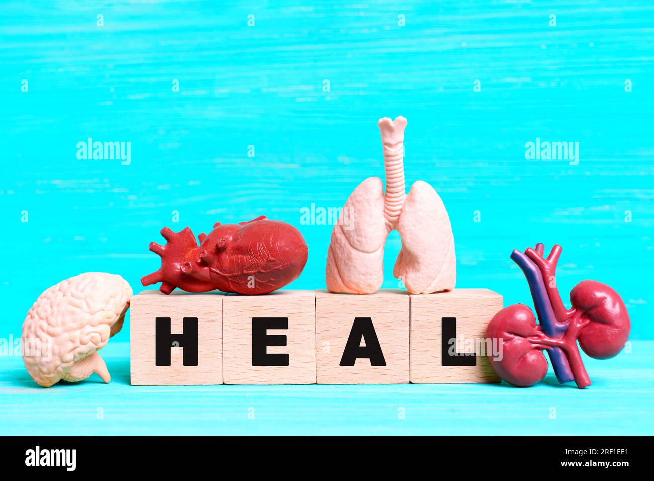 Kidney disease blocks hi-res stock photography and images - Alamy