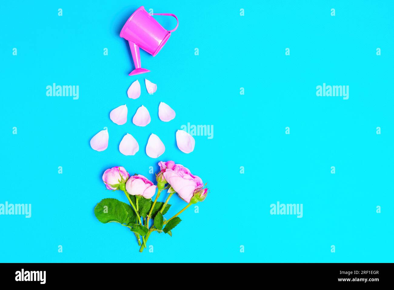 Miniature pink watering can pouring delicate flower petals on tiny ...