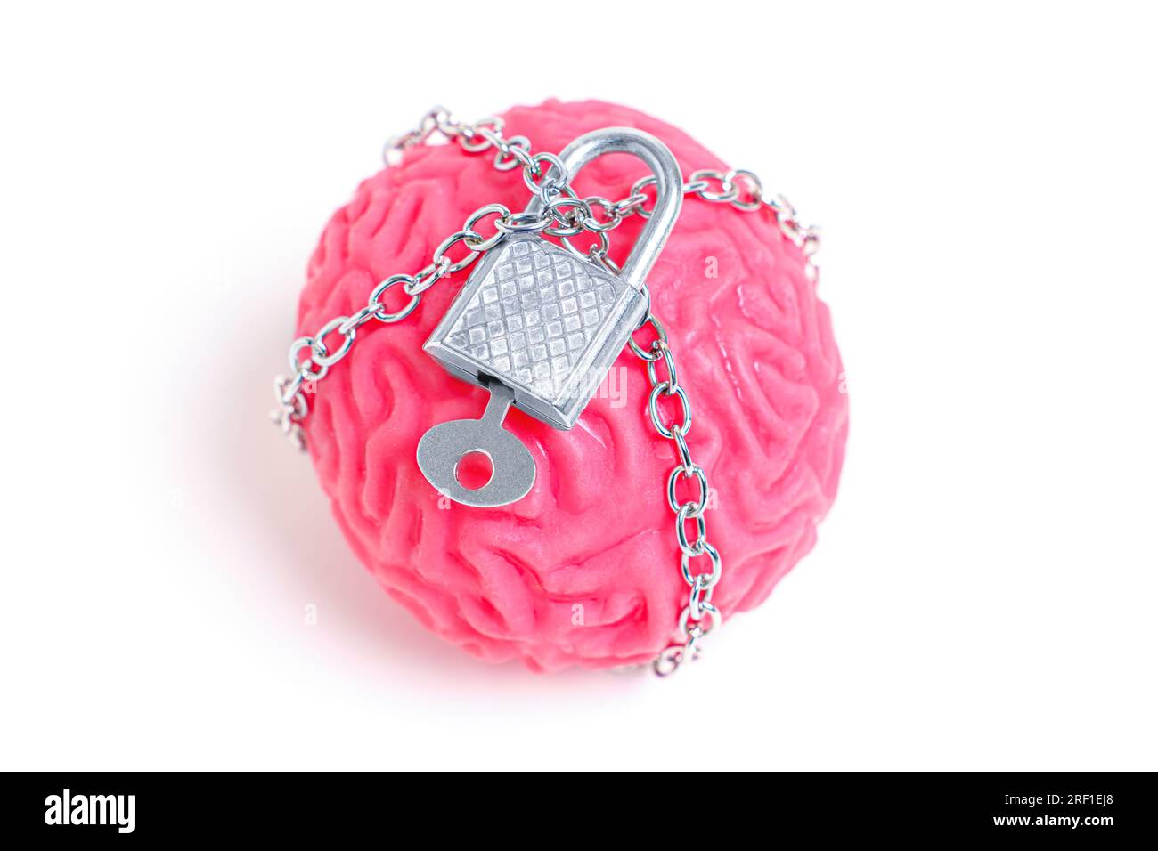 Close-up of a pink anatomical replica of a human brain confined in ...