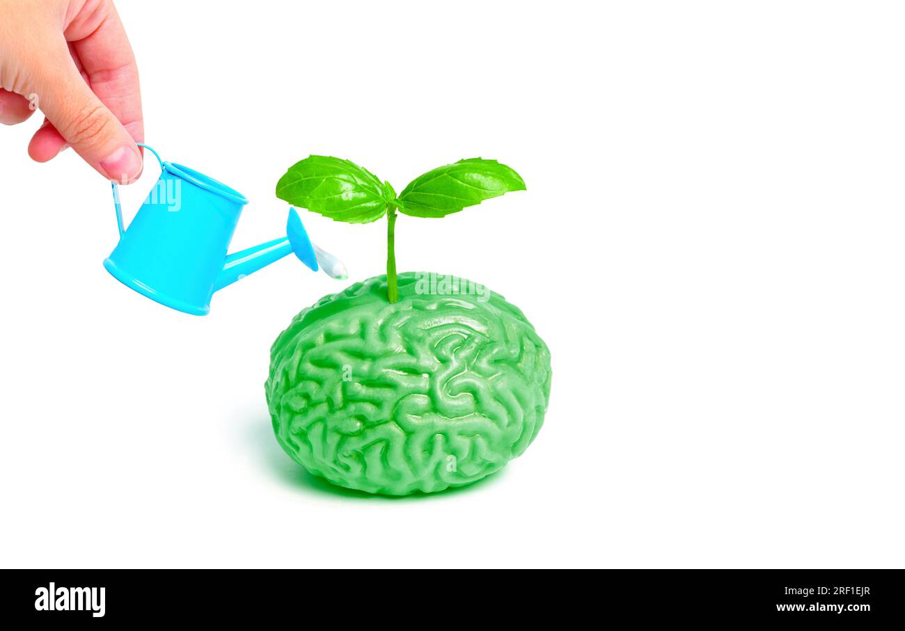 Hand gently waters a green anatomical model of the human brain with ...