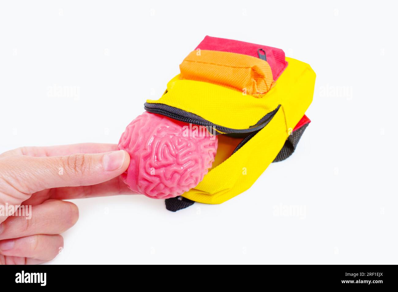 Close-up view of a hand taking a human brain model out of a vibrant toy ...