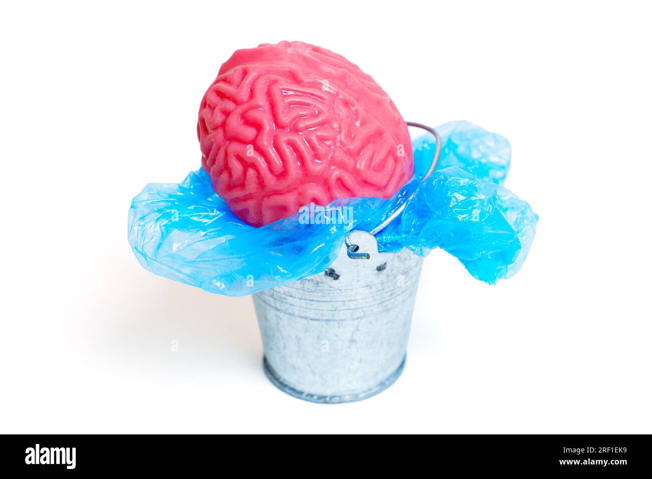 Human brain replica placed inside a tiny trash bin isolated on white ...