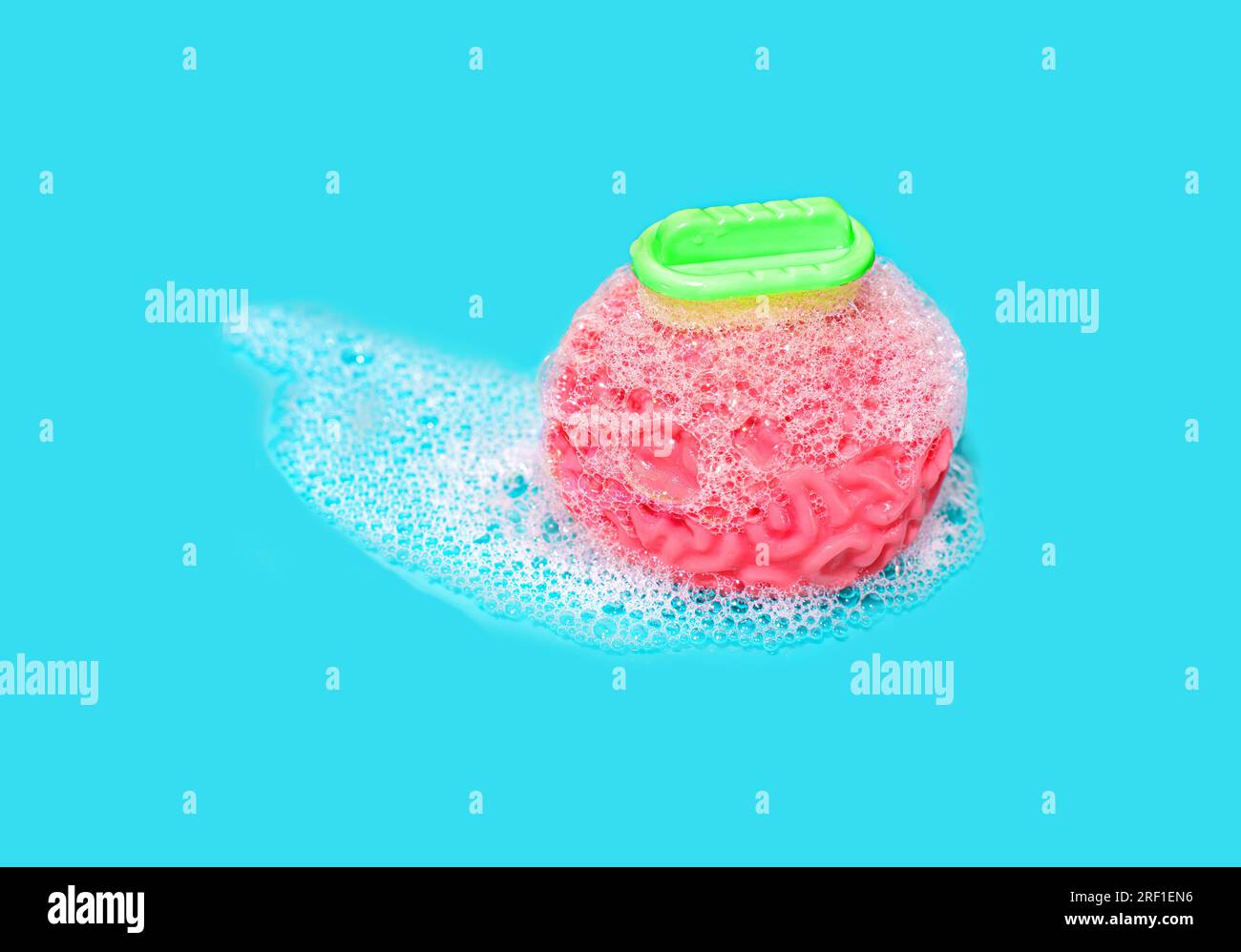 Anatomical human brain model being washed with a toy bathing scrubber ...