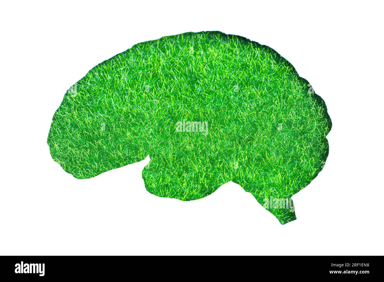 Vibrant green grass forms the intricate shape of a human brain ...