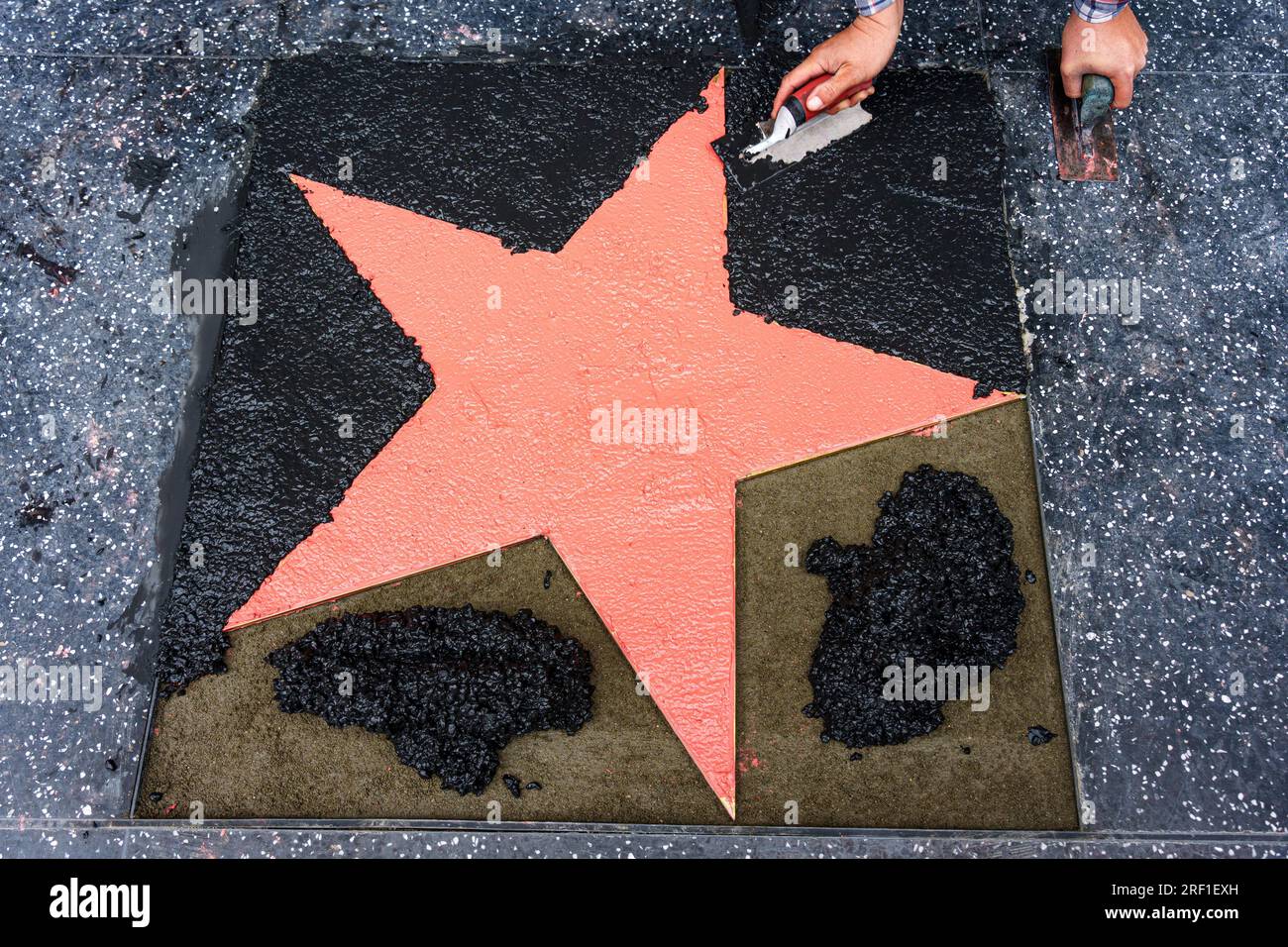 Top-down view of a new star under construction on the Walk of Fame in ...