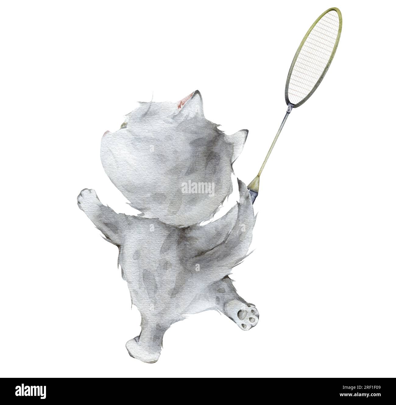 Little fluffy grey kitten badminton player holding racket watercolor ...
