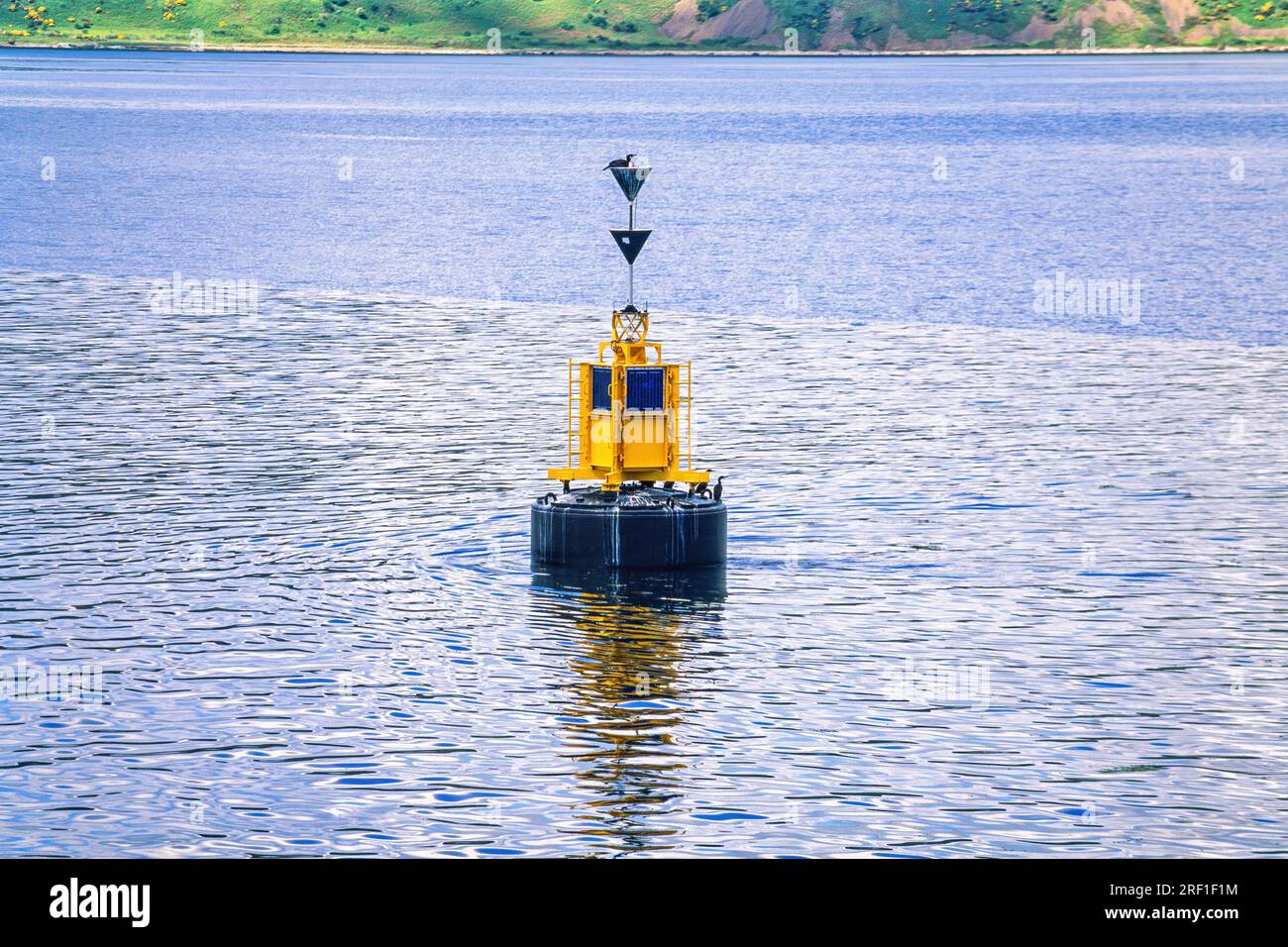 Navigation buoy at the sea with cormorant birds Stock Photo - Alamy