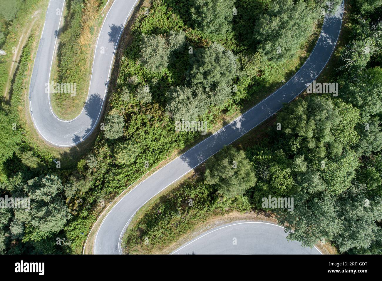 Top view of a winding road on a mountain with oak forest Stock Photo ...