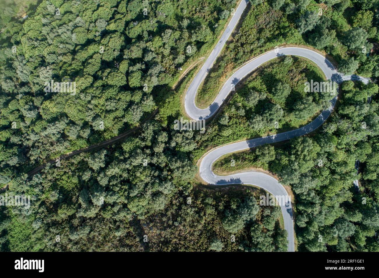 Overhead aerial view of a curvy road on a mountain with oak forest ...